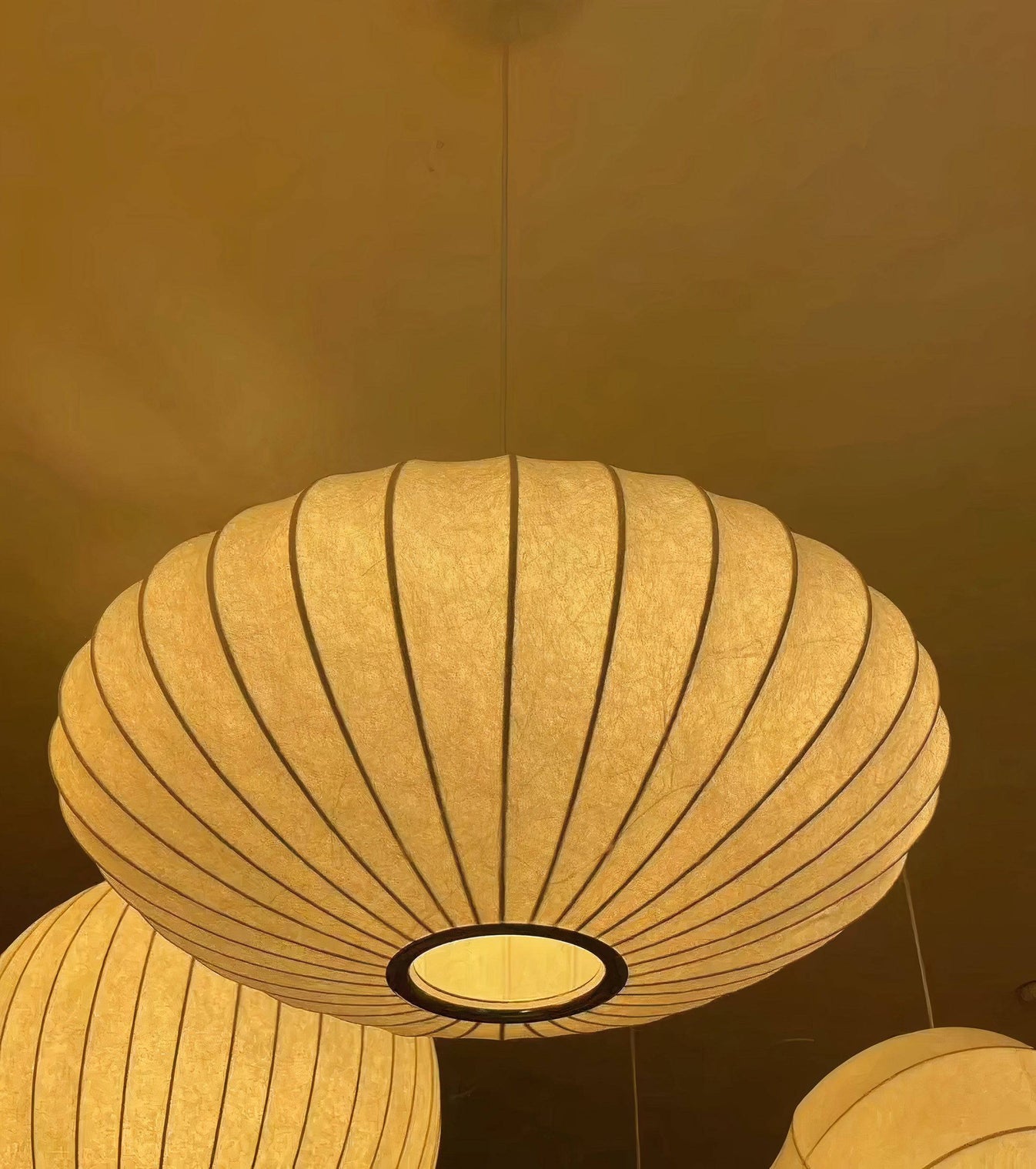 Eclipse Oval Pendant Lamp